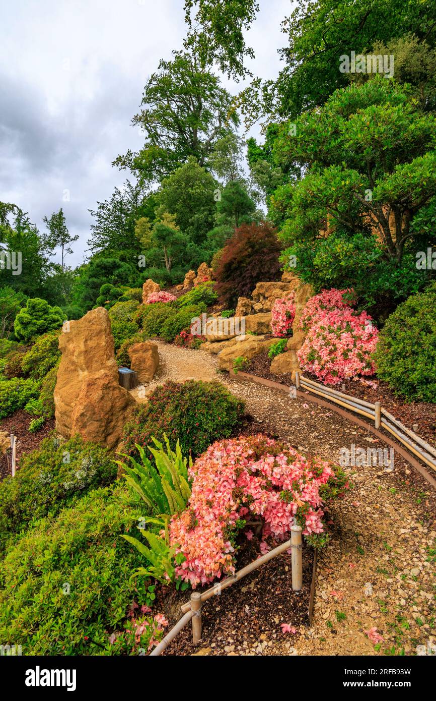 The colourful Japanese Garden with many different sizes of bonsai trees ...