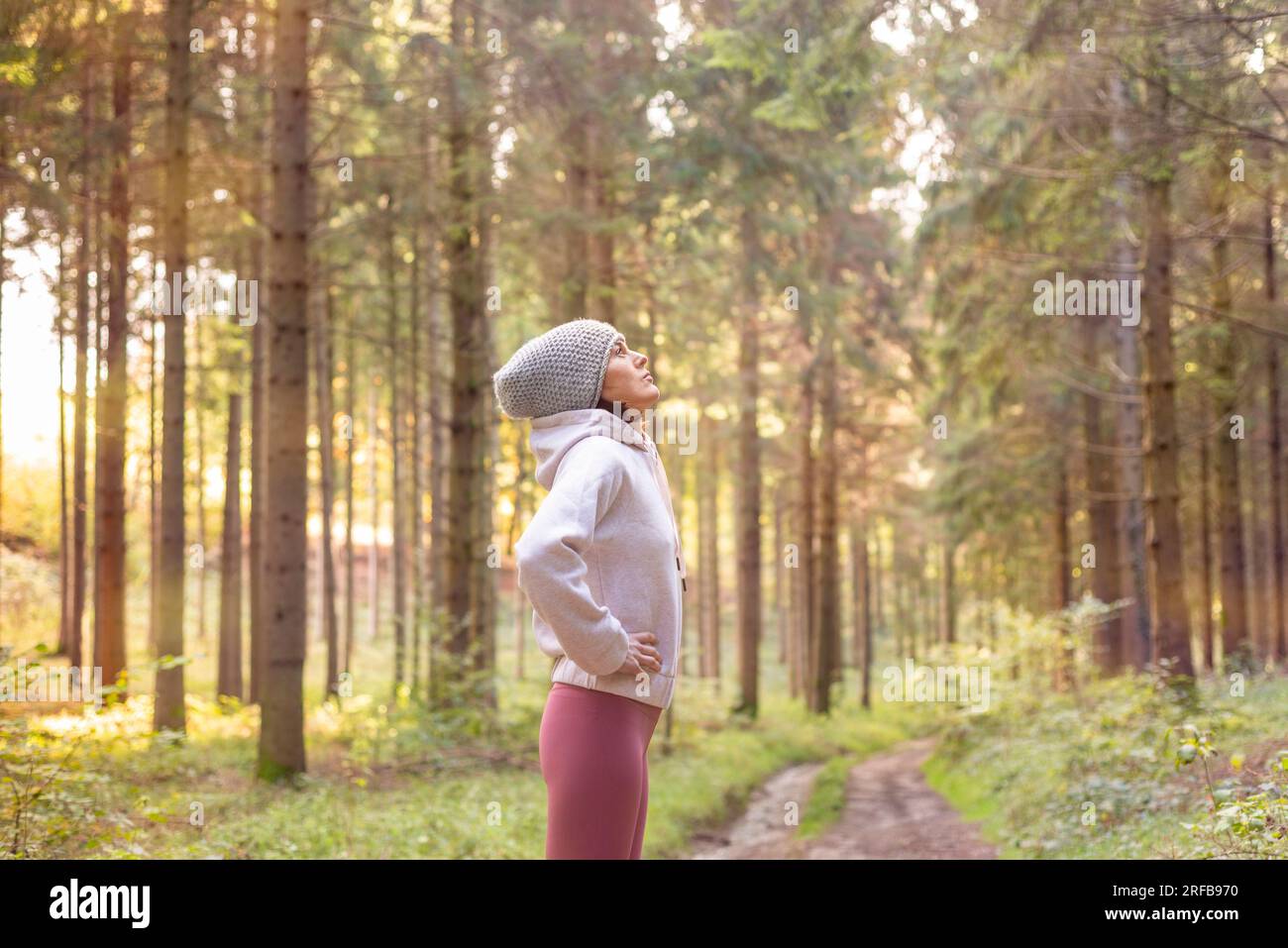 Female athlete catching her breath after jogging in the forest Stock ...