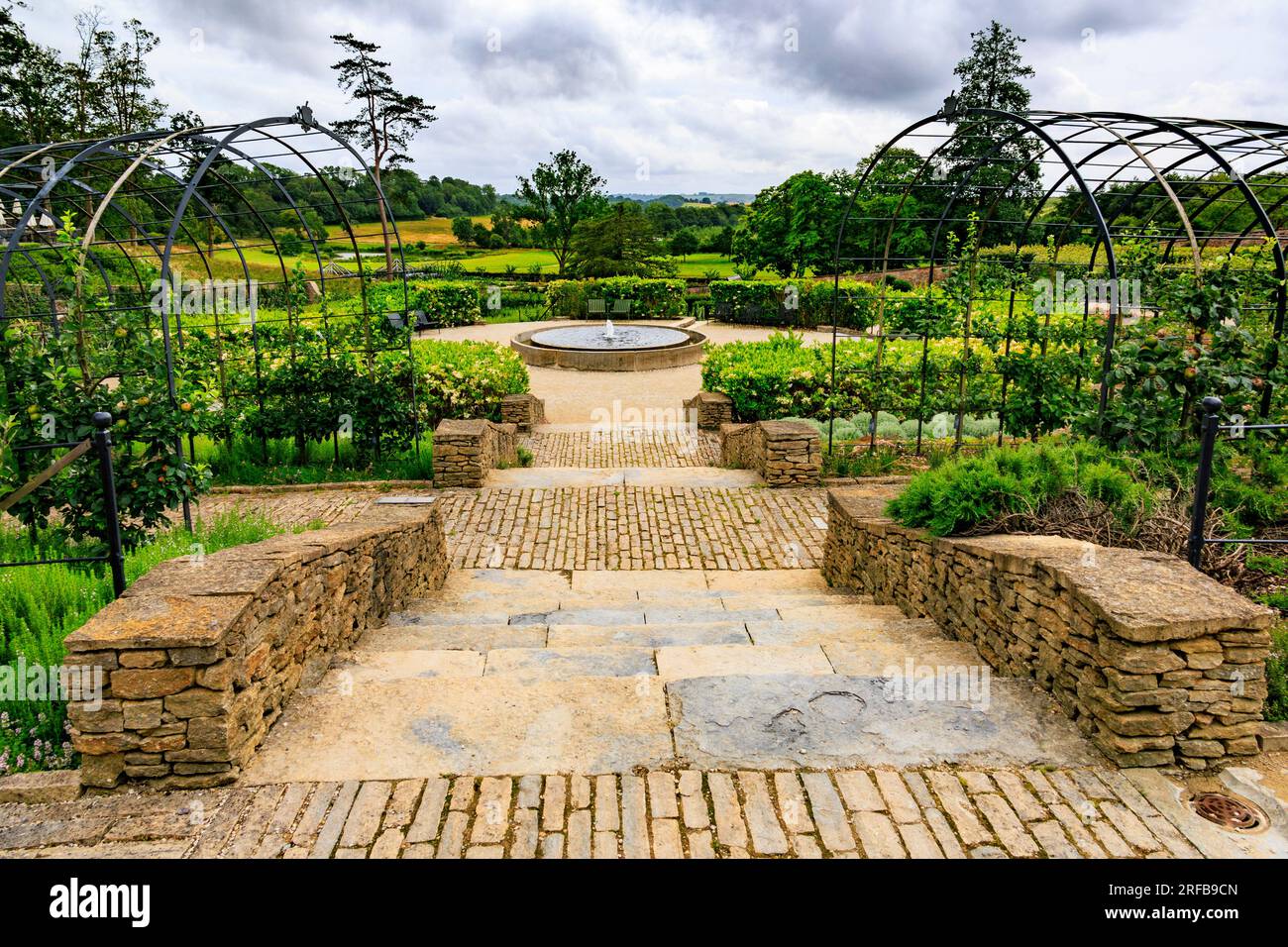 Some of the many different varieties of English apple trees growing in ...