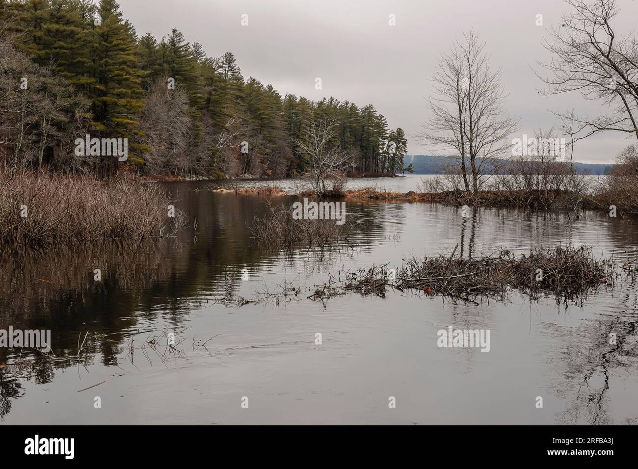Massabesic is the drinking water source for the City of Manchester, NH ...