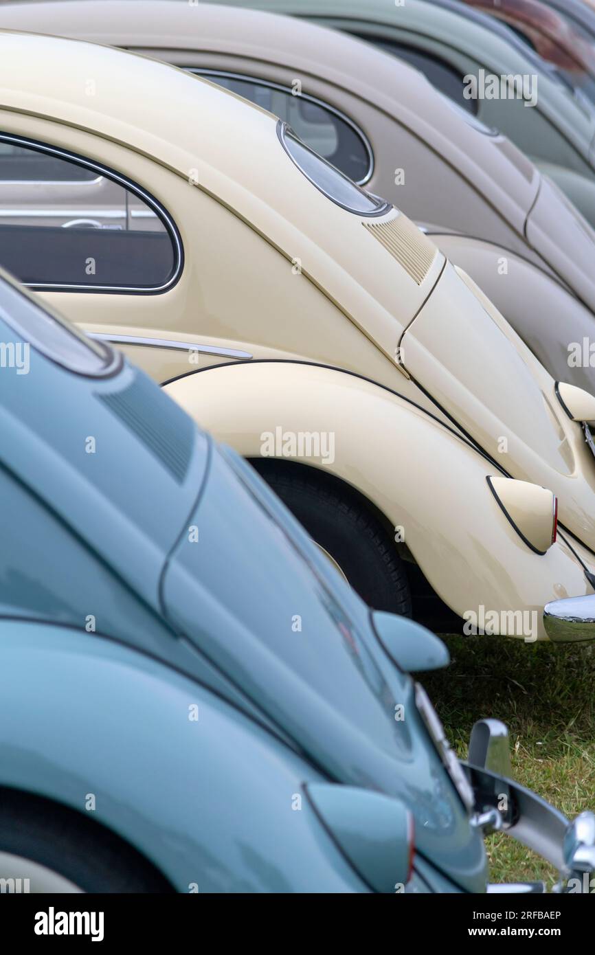 UK, England, Suffolk, Lavenham, Volkswagen Car Show, VW Beetles Stock ...