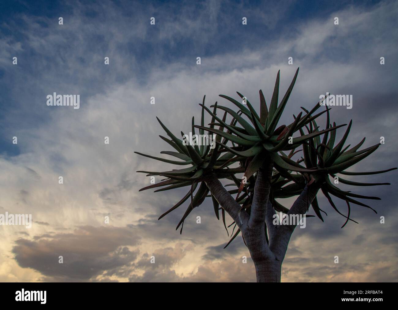 Contrasted landscape hi-res stock photography and images - Alamy