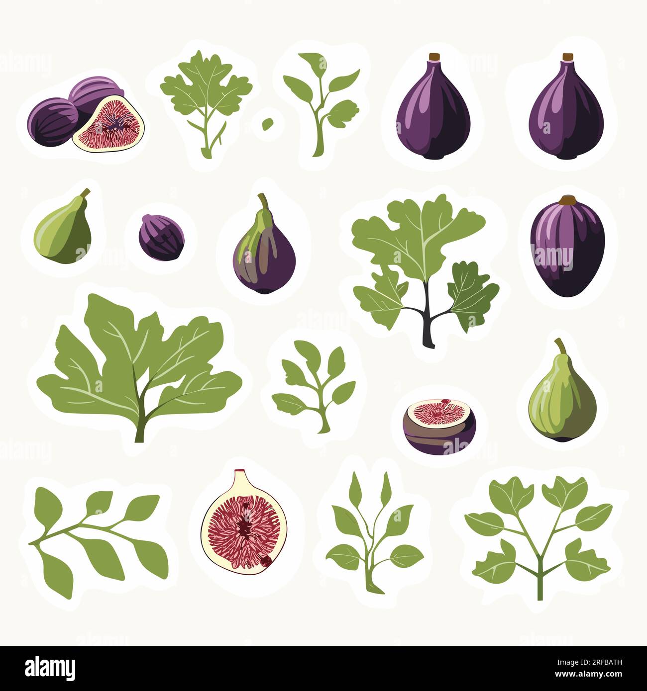 Figs vector vectors hi-res stock photography and images - Alamy
