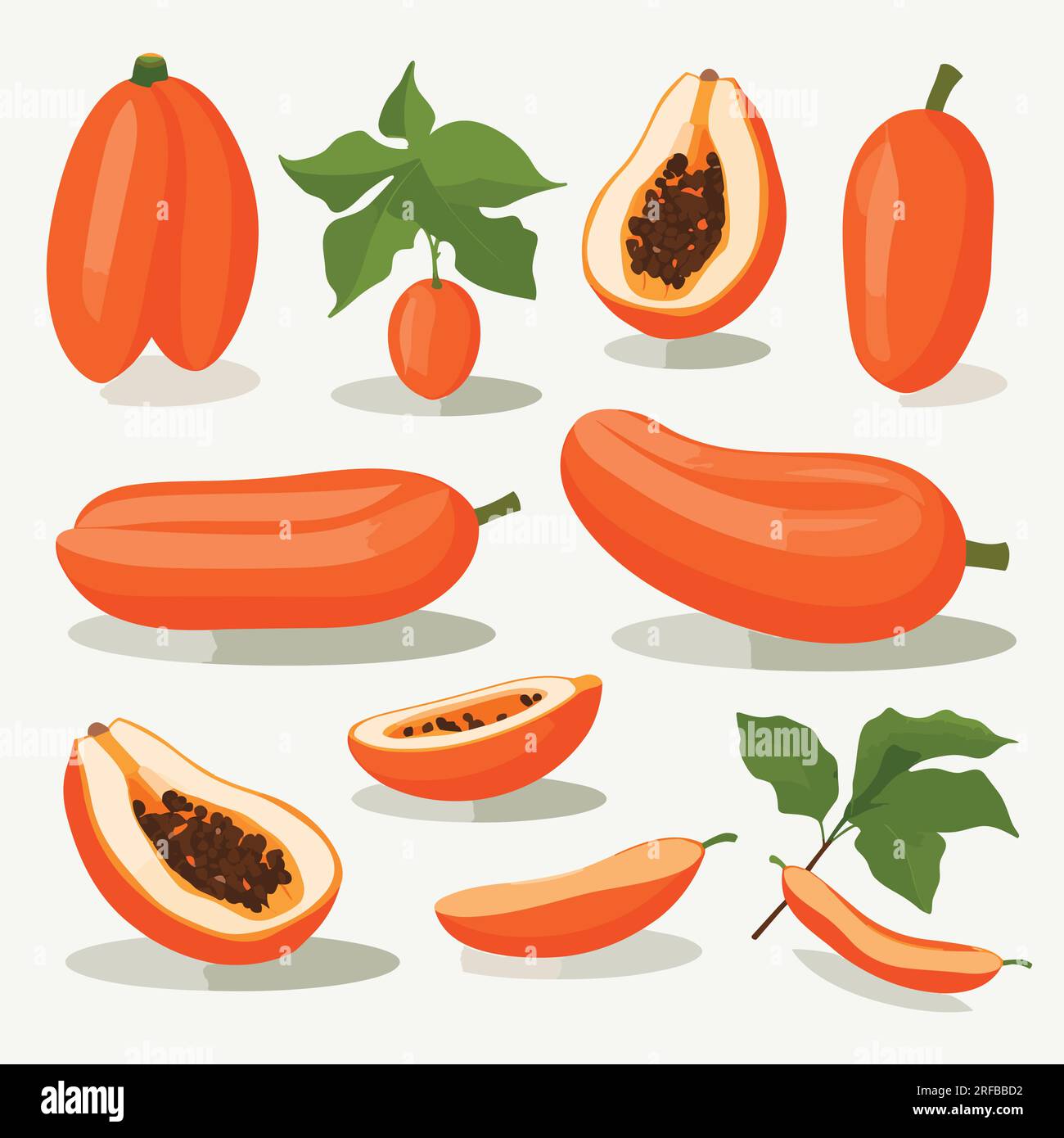 Orange papaya vector vectors hi-res stock photography and images - Alamy