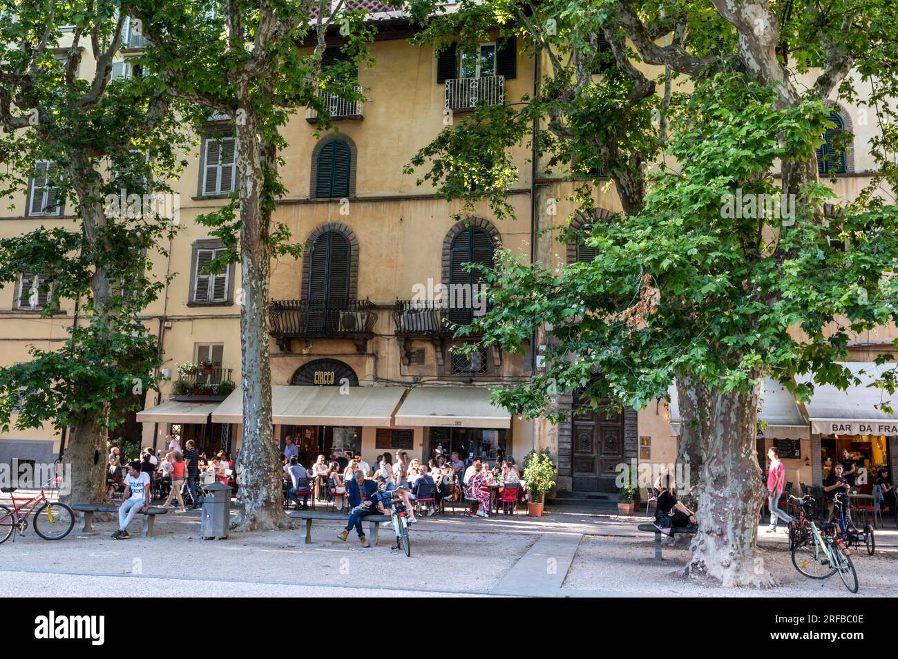 Piazza Napoleone in the city of Lucca in the Tuscany region of Italy ...