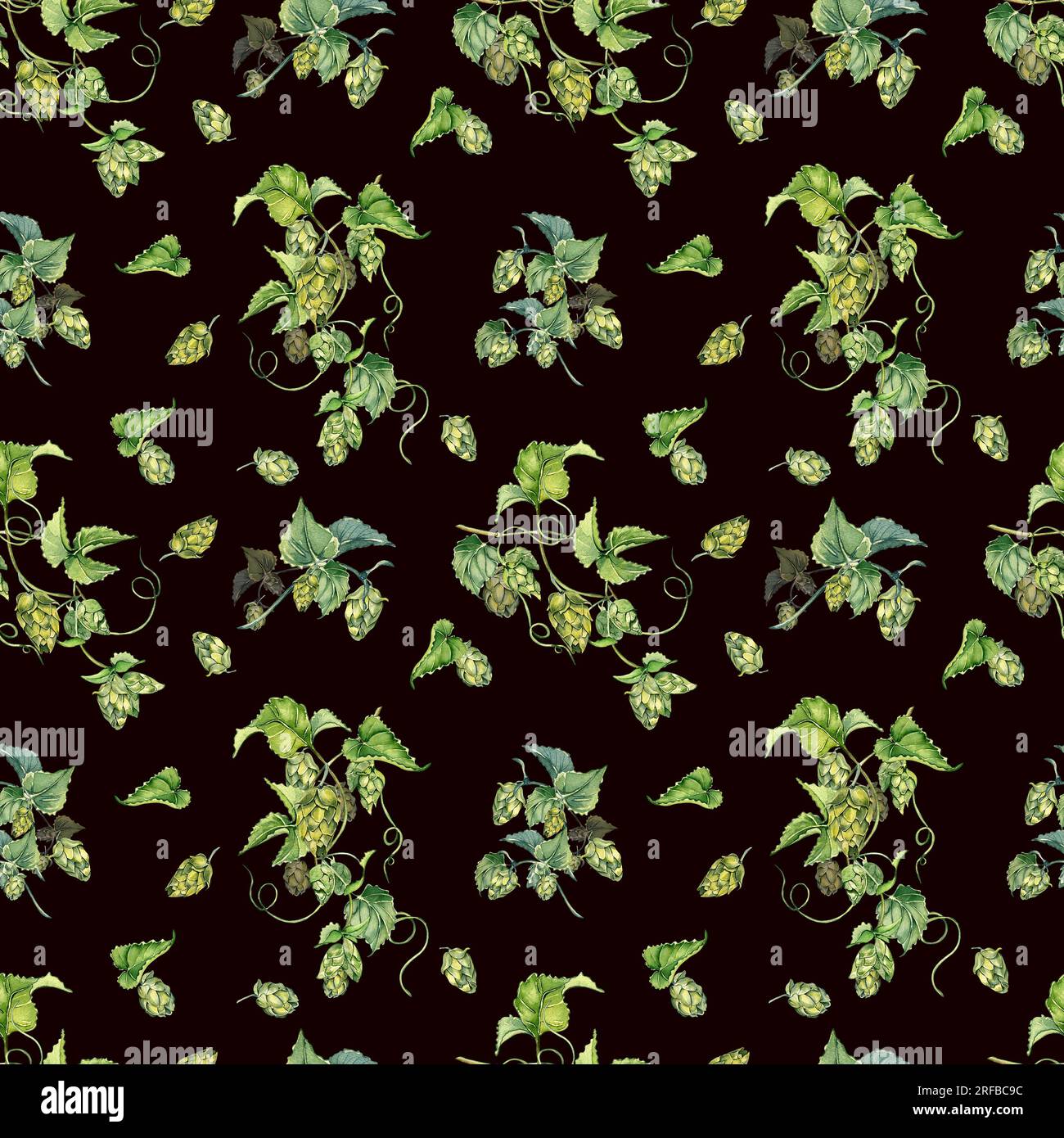 Hop vine, plant humulus watercolor seamless pattern isolated on black background. Hop on brunch ...