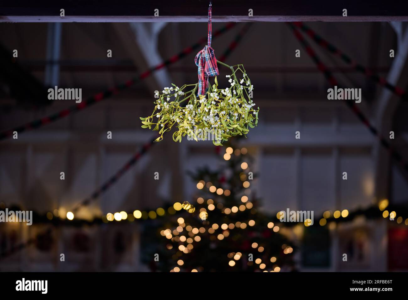 Hanging mistletoe hi-res stock photography and images - Alamy