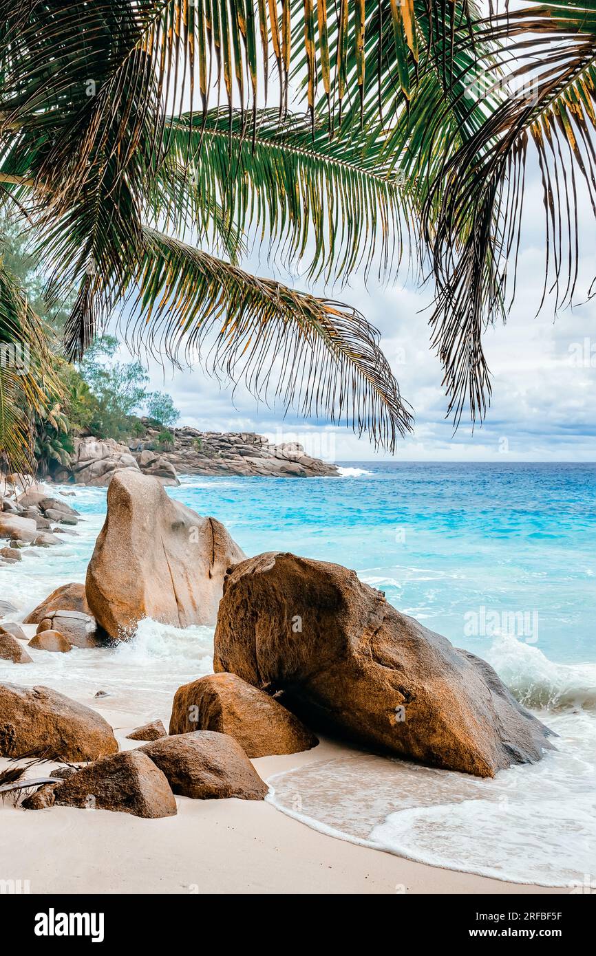 Granite rock palm trees seychelles hi-res stock photography and images ...