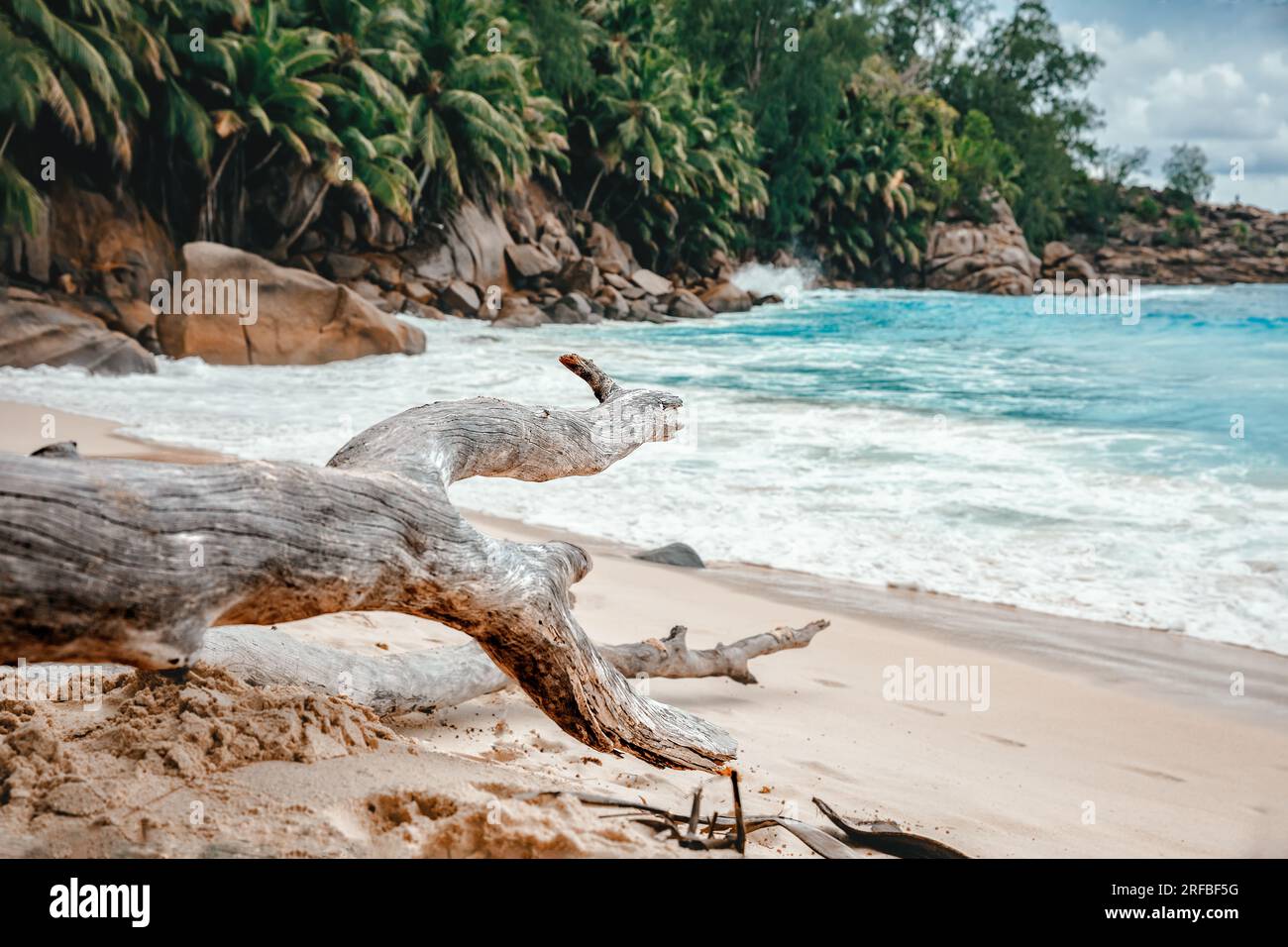 Granite rock palm trees seychelles hi-res stock photography and images ...