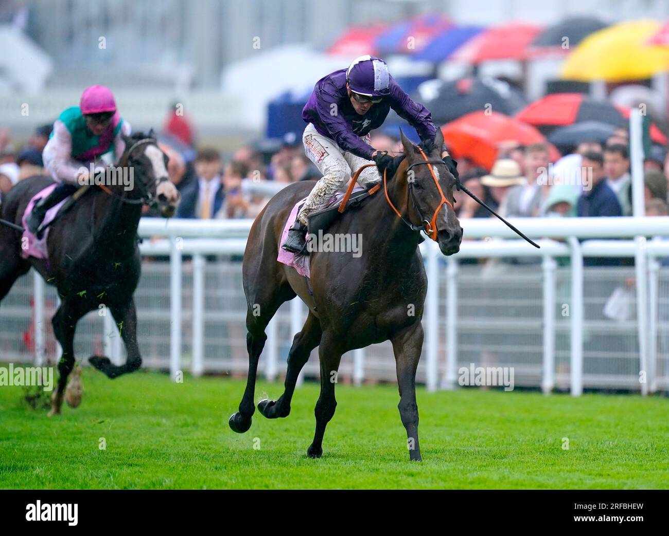 Magical sunset horse racecourse hi-res stock photography and images - Alamy