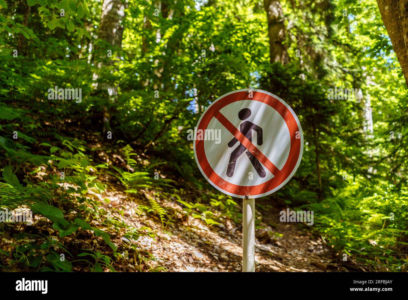 walking forbidden sign in park or forest . prohibition to step on ...