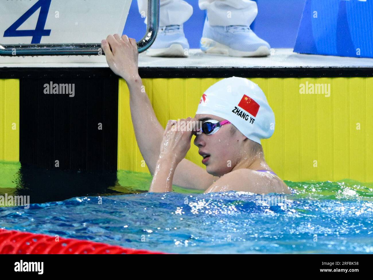 Butterfly wu hi-res stock photography and images - Alamy