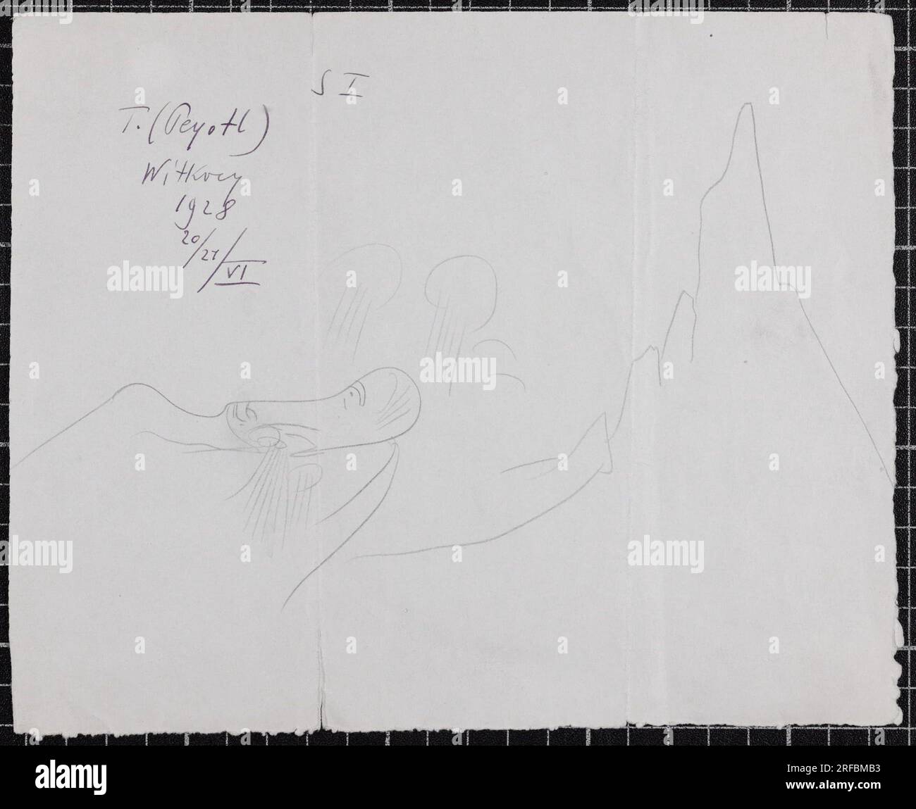 Peyote drawing between 20 June 1928 and 21 June 1928 by Stanisław ...