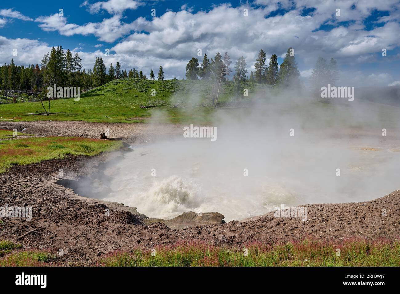 Churning Caldron, Mud Volcano Area, Yellowstone National Park, Wyoming ...