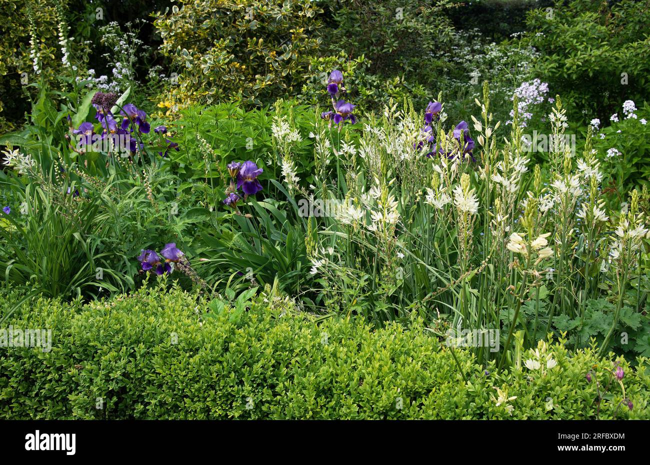 May border hi-res stock photography and images - Alamy