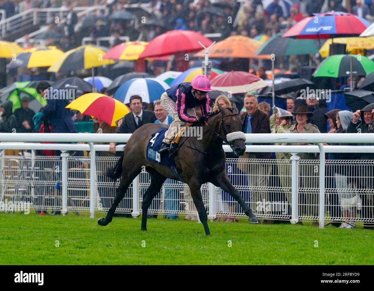 Flora of bermuda horse hi-res stock photography and images - Alamy