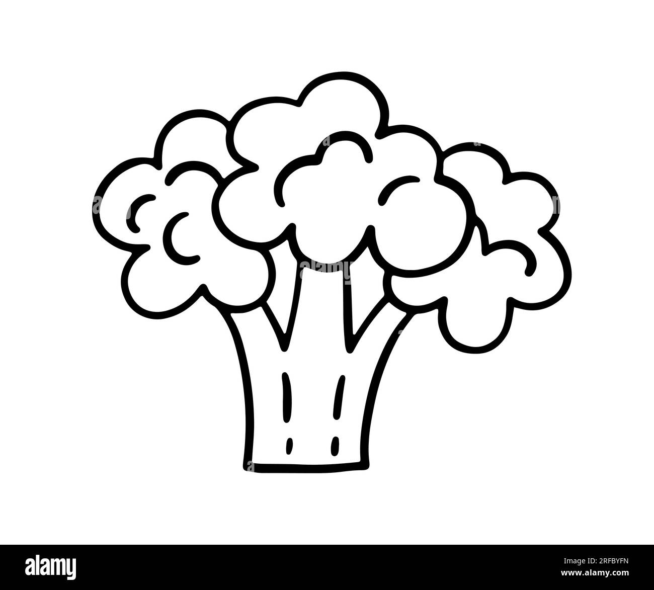 Doodle broccoli outline broccoli Black and White Stock Photos & Images ...