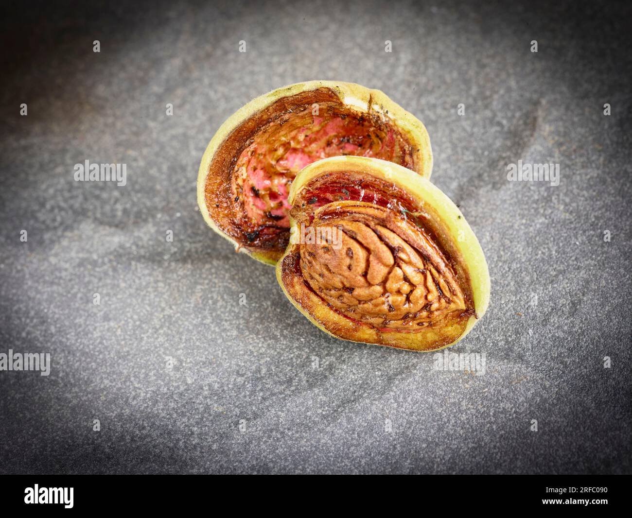 Close up still life of Nut showing the intricate natural patterns on a ...