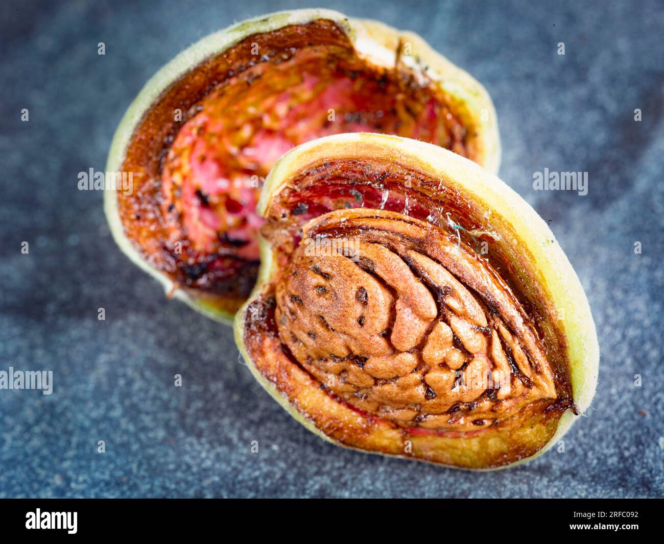 Close up still life of Nut showing the intricate natural patterns on a ...