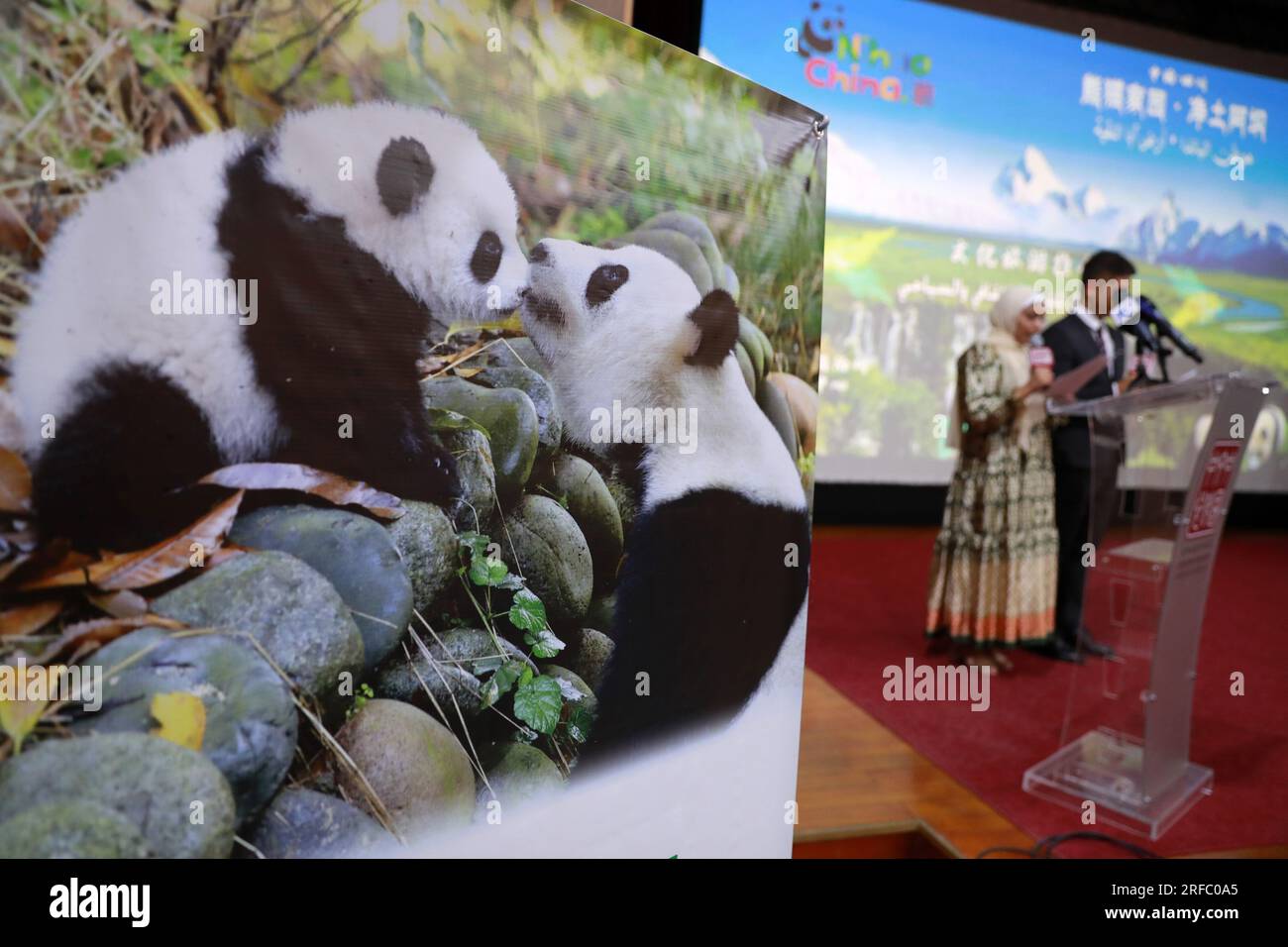 Home for pandas hi-res stock photography and images - Alamy