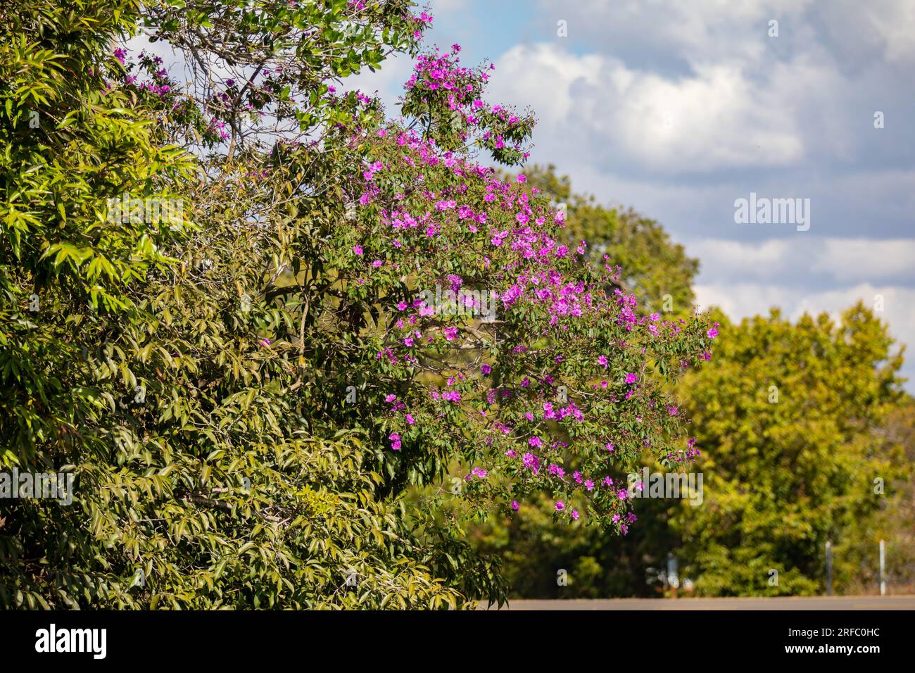 Beautiful natural landscape with idyllic scenery for background Stock ...