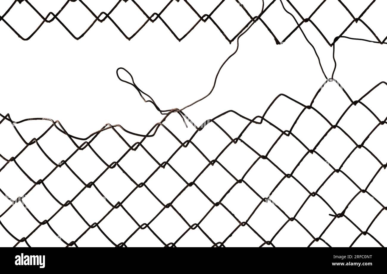 The texture of the metal mesh on a white background. Torn steel, metal ...