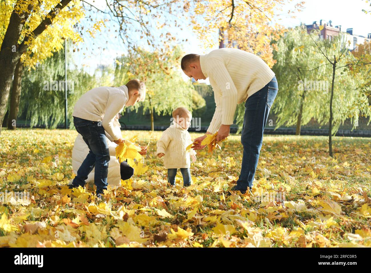 Family and spend time in autumn park in sunny weather. Parents and ...
