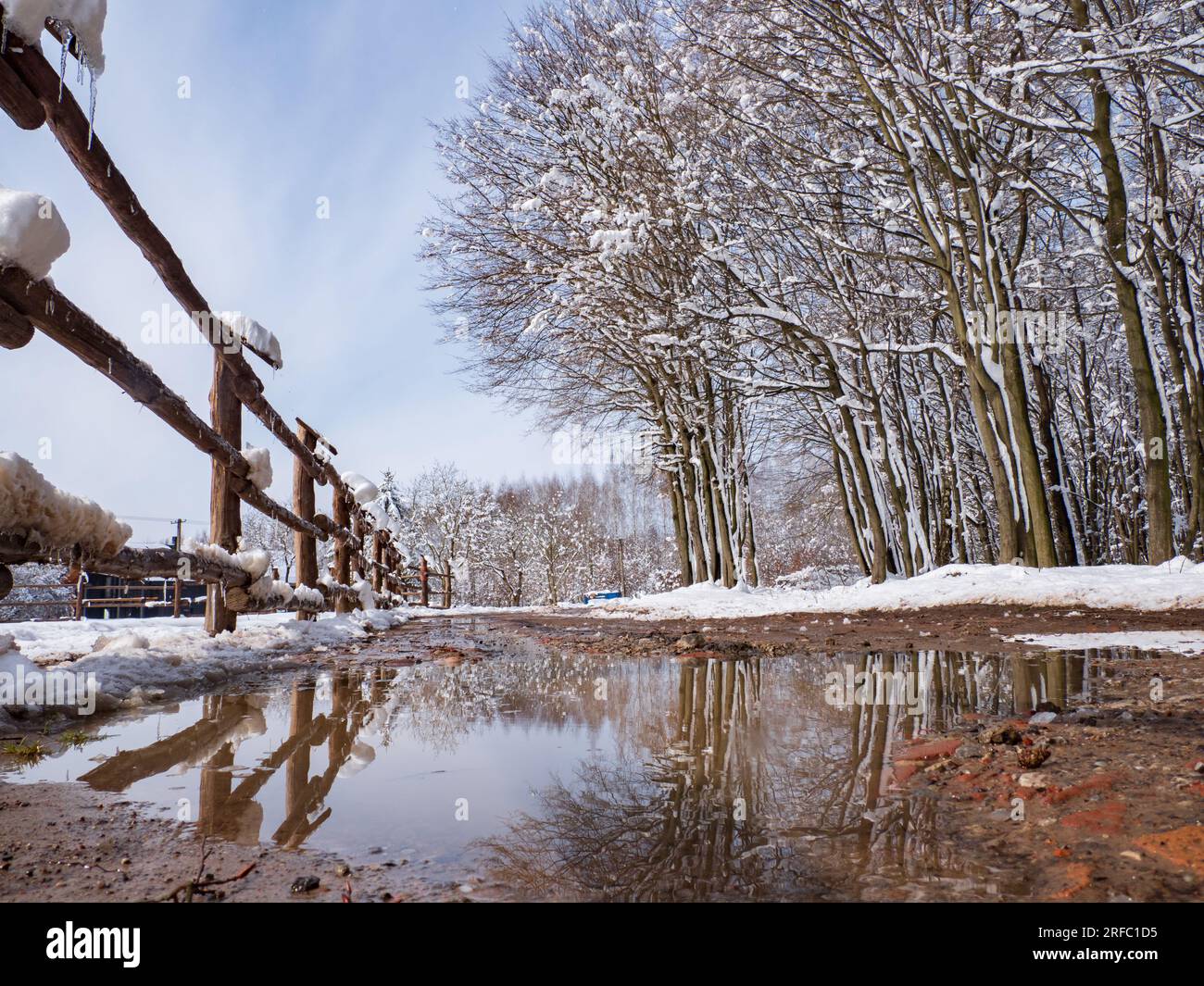 Winter landscape with white fluffy snow and trees reflecting in a ...