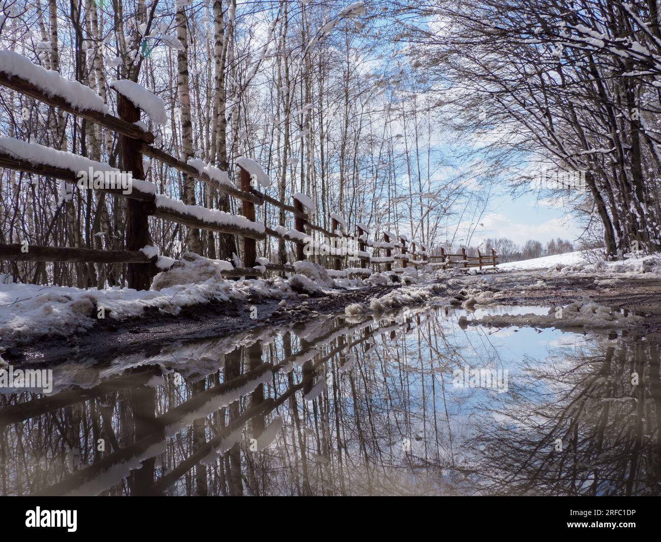 Winter landscape with white fluffy snow and trees reflecting in a ...