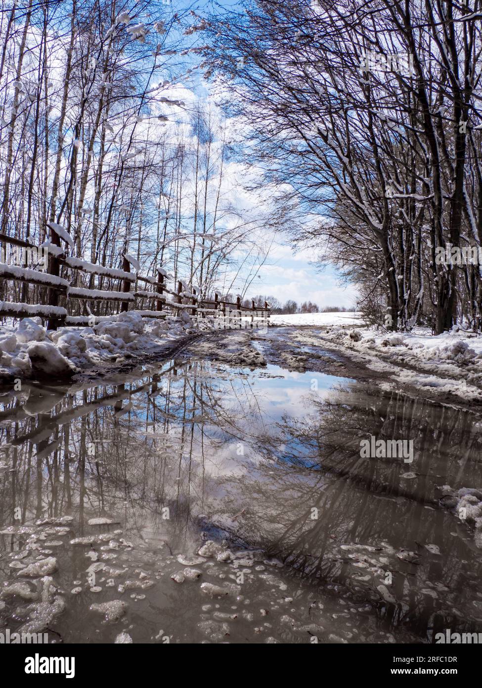 Winter landscape with white fluffy snow and trees reflecting in a ...