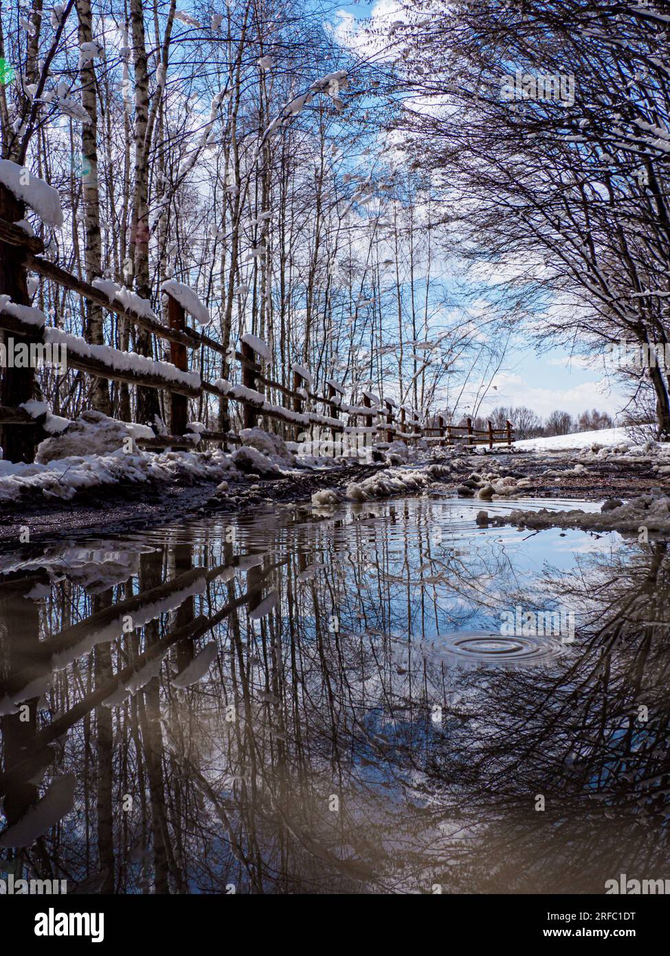 Winter landscape with white fluffy snow and trees reflecting in a ...
