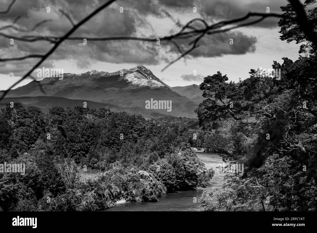 The stunning Kepler Walk in the Manapouri region in Southland ...