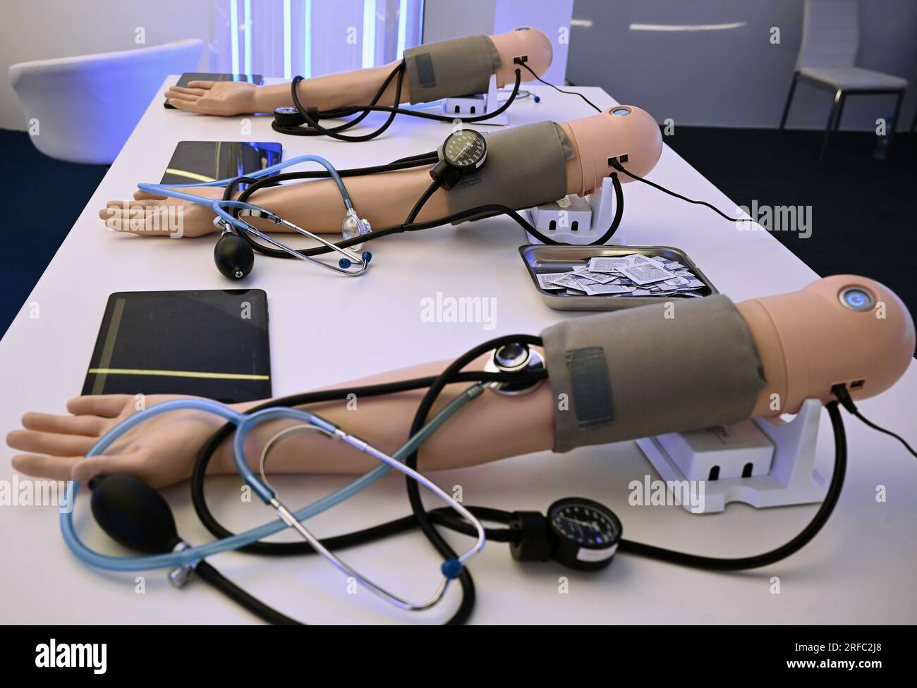 Moscow, Russia. 02nd Aug, 2023. XXII Moscow Urban Forum in Gostiny Dvor ...