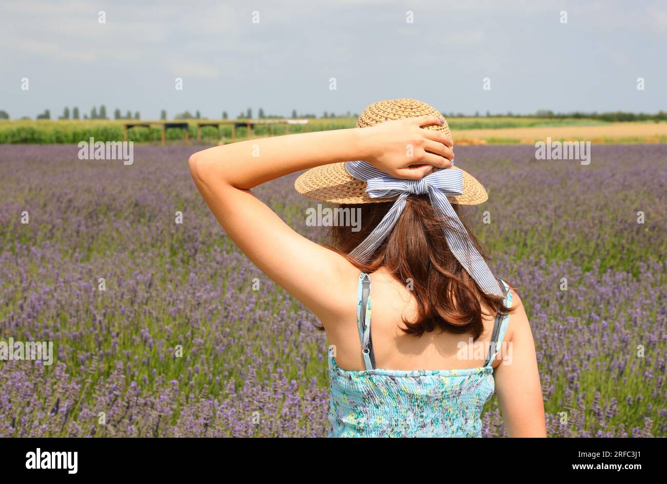 Young girl with straw boater in the wide field of lavender flower in ...