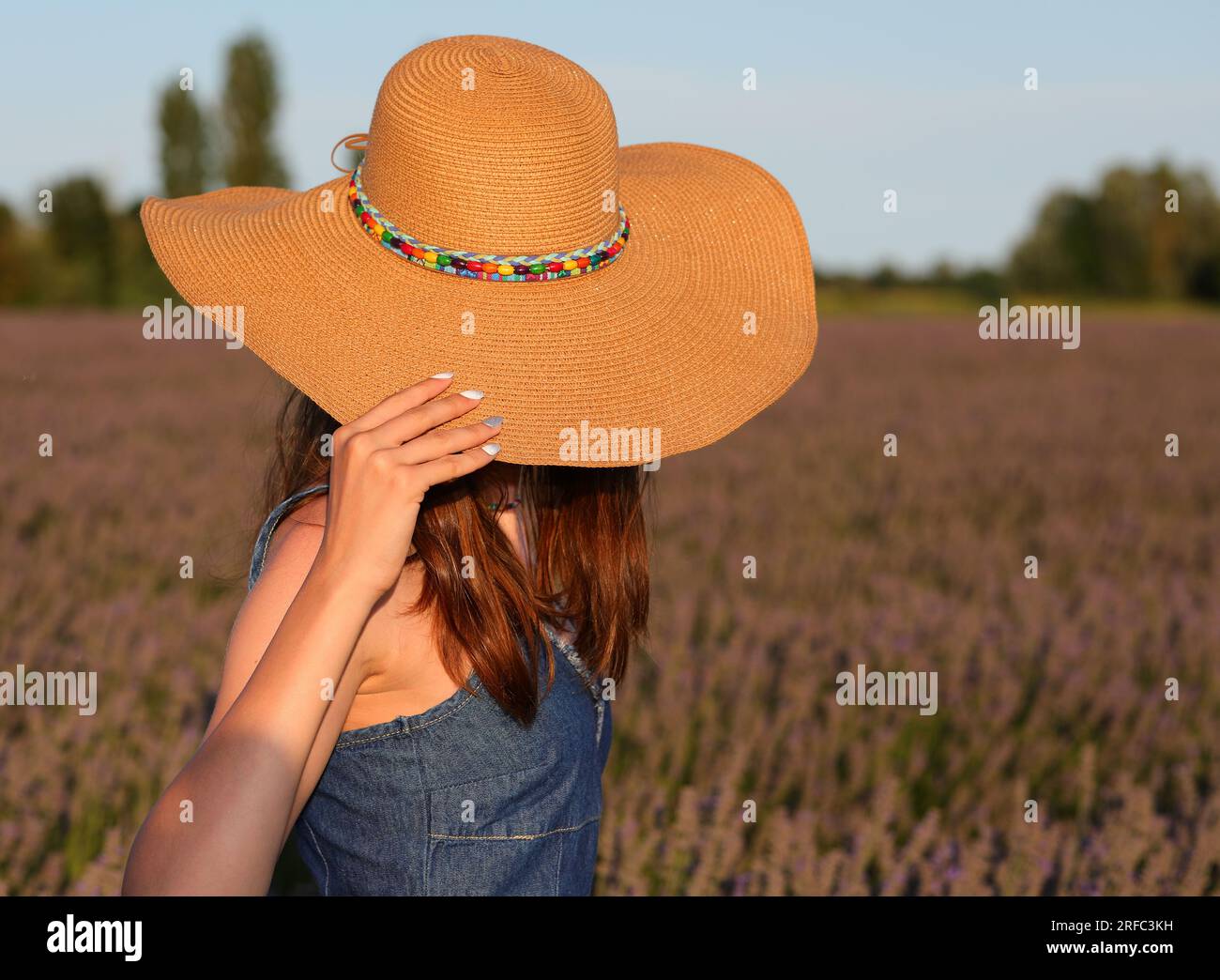 Young girl with straw boater in the wide field of lavender flower in ...