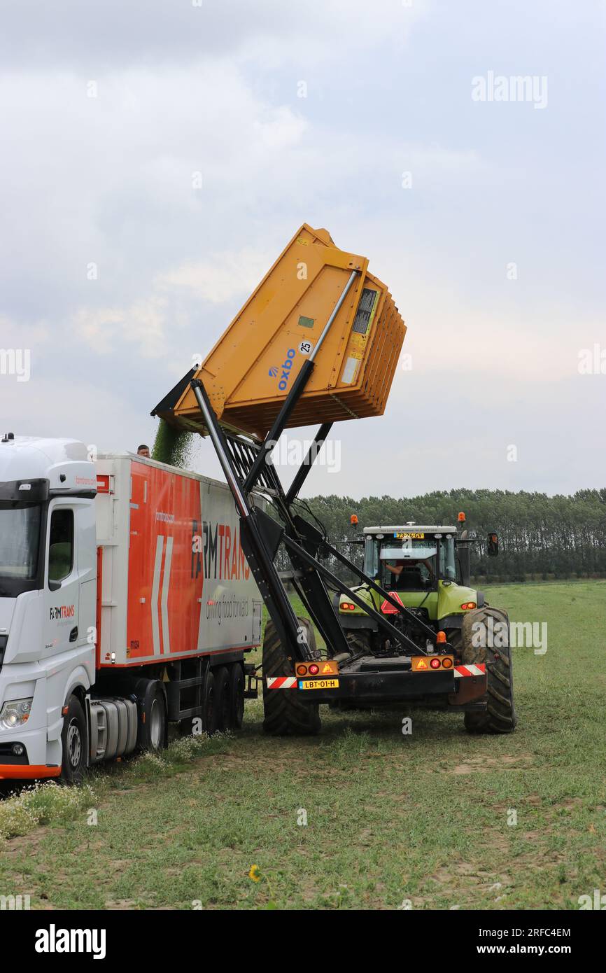 Side tipping truck hi-res stock photography and images - Alamy