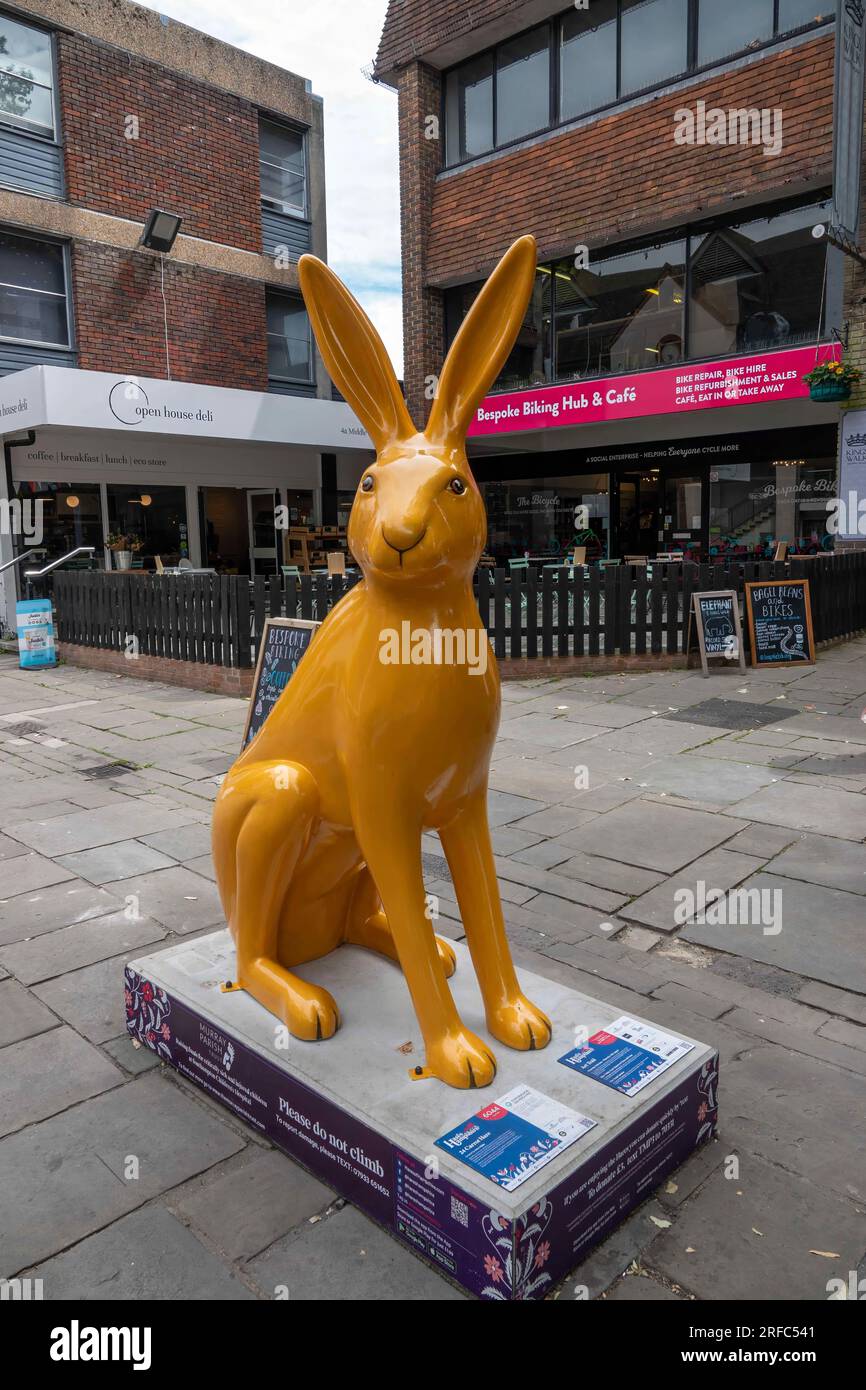 24 carrot hare hi-res stock photography and images - Alamy