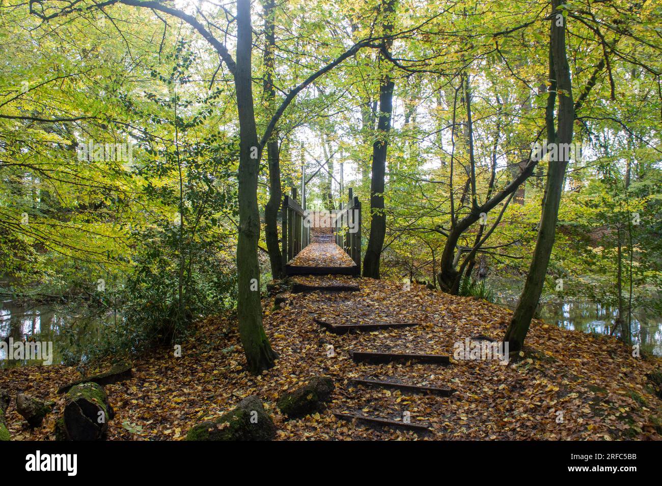Nature reserve wood wildlife hi-res stock photography and images - Alamy