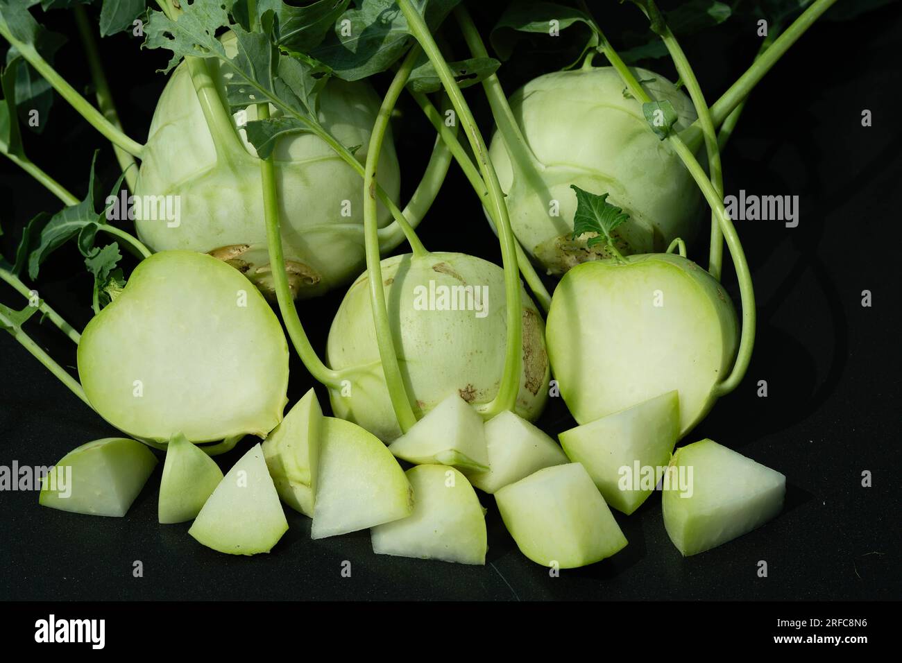 different types of kohlrabi Brassica oleracea from our own garden Stock ...