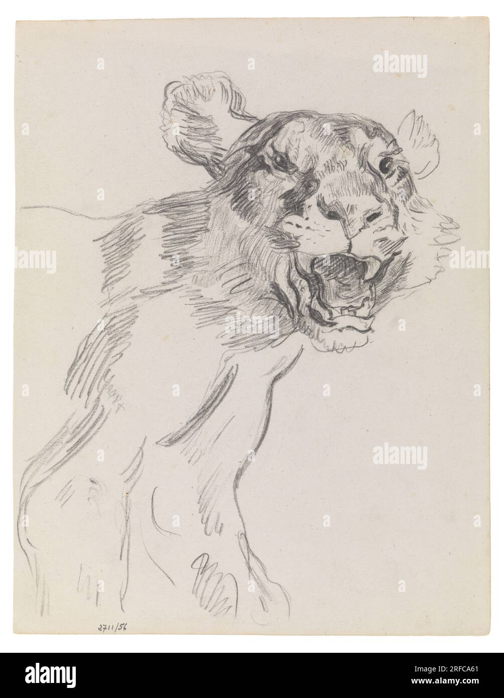 Studie van een wild dier by James Ensor Stock Photo - Alamy