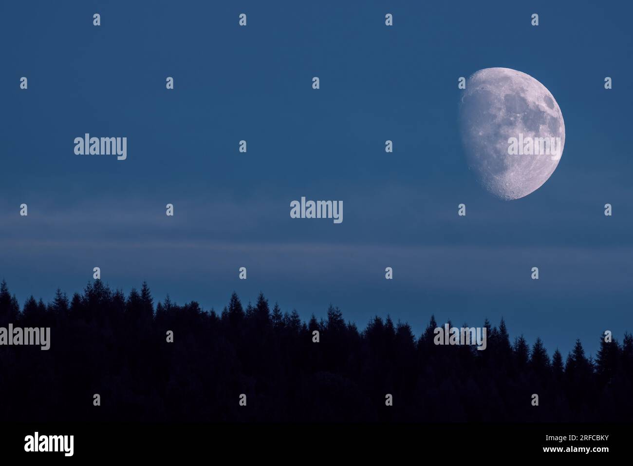 beautiful half moon on the clear night sky with tree silhouettes on the ...