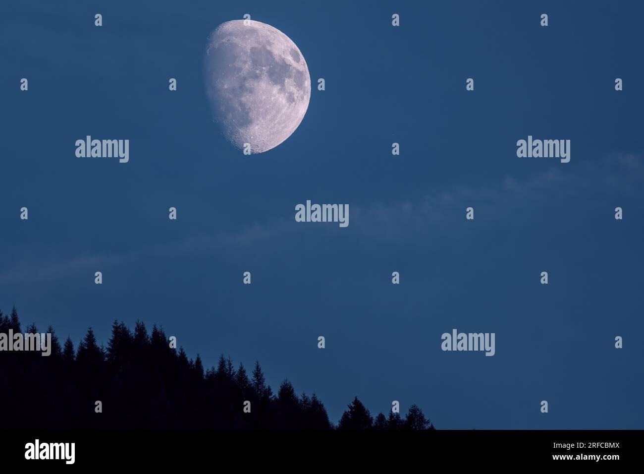 beautiful half moon on the clear night sky with tree silhouettes on the ...