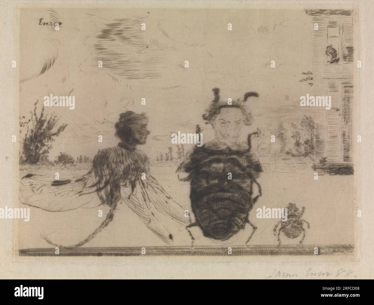 Peculiar insects hi-res stock photography and images - Alamy