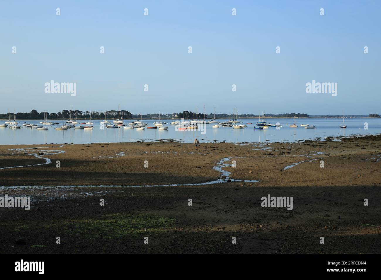 Early morning light and low tide from Cale de Kerbilouet, Arradon ...