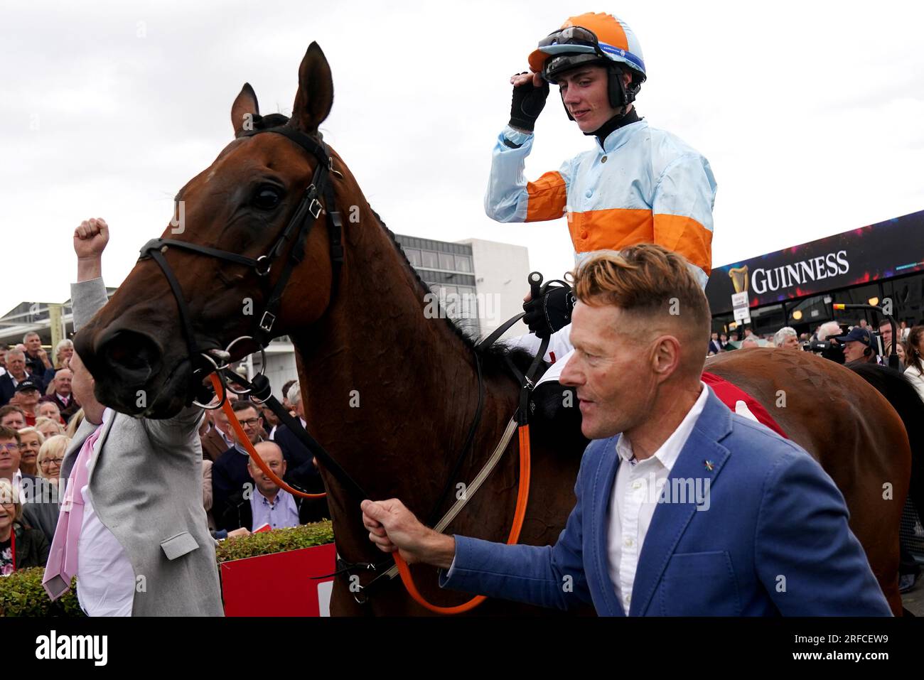 Ash tree meadow galway hi-res stock photography and images - Alamy