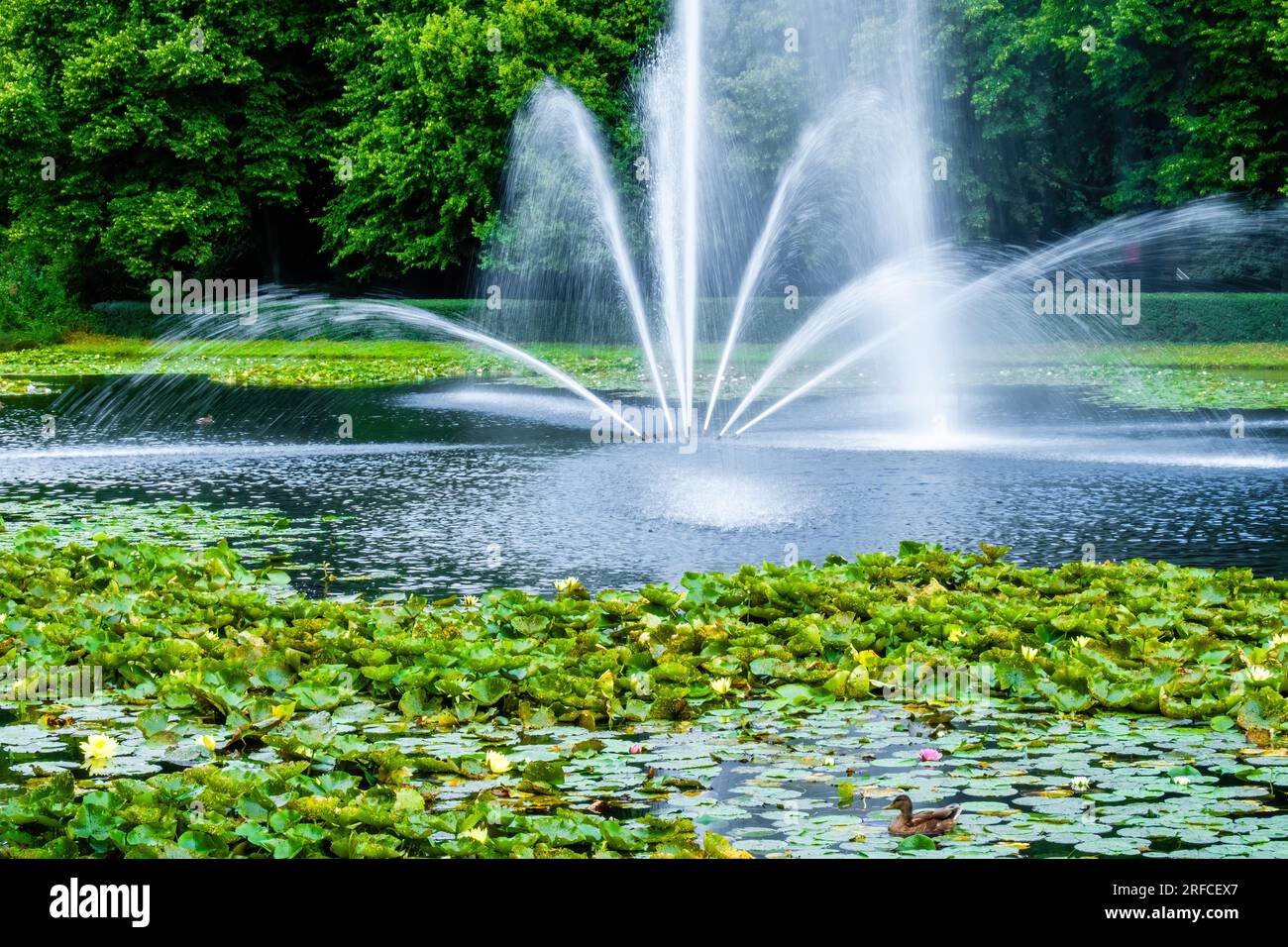 Beautiful fountain in lake at the park. Splashing streams Stock Photo ...