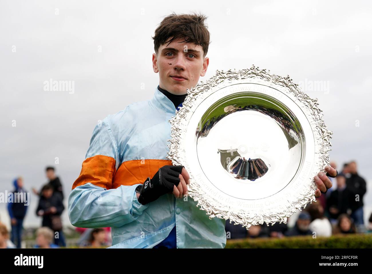 Ash tree meadow horse hi-res stock photography and images - Alamy