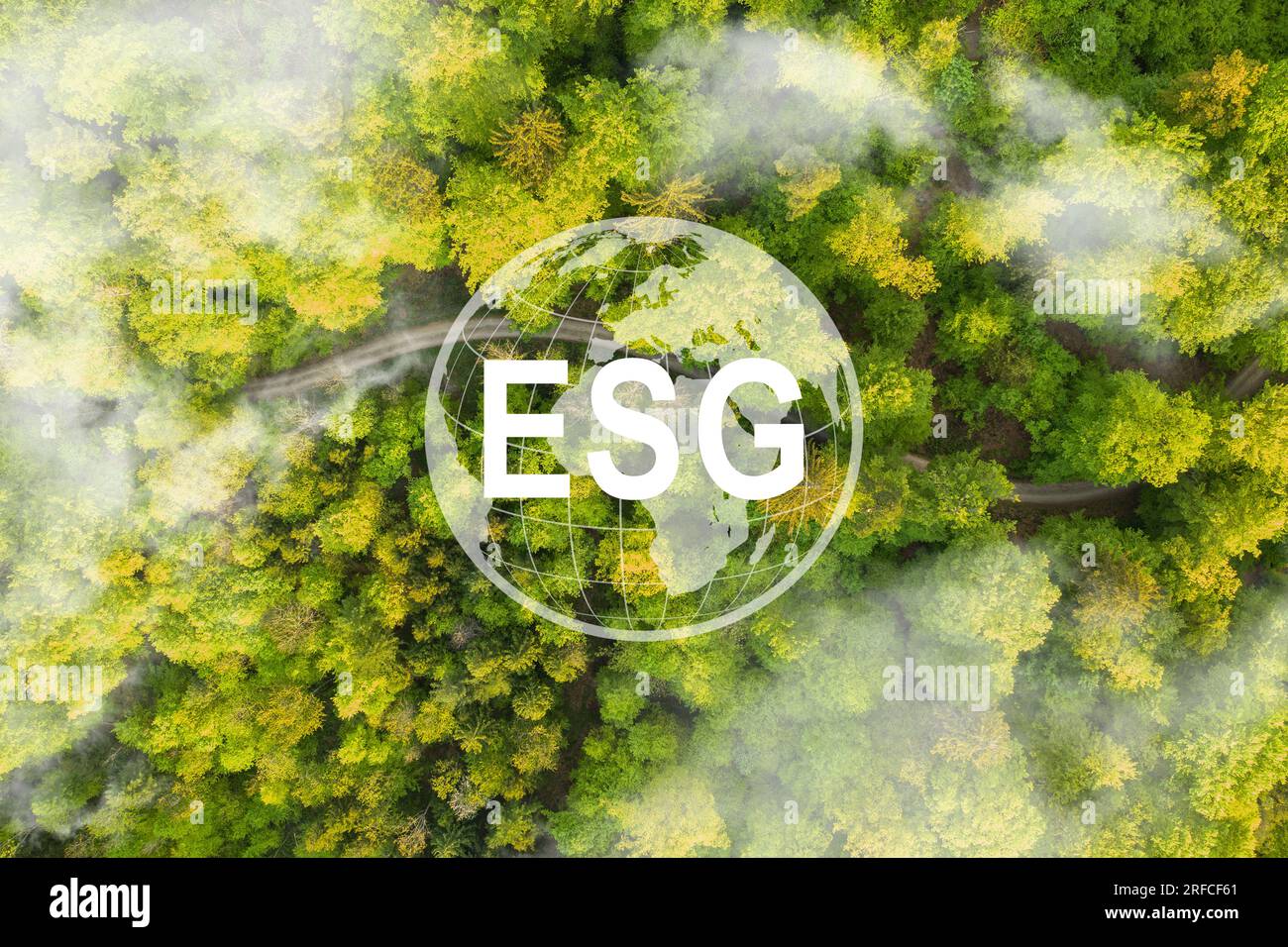 icon reduce CO2 emission concept on the top view of the forest for ...