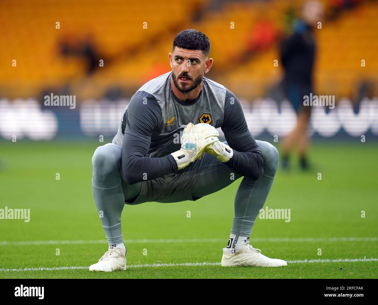 Tom king wolves hi-res stock photography and images - Alamy