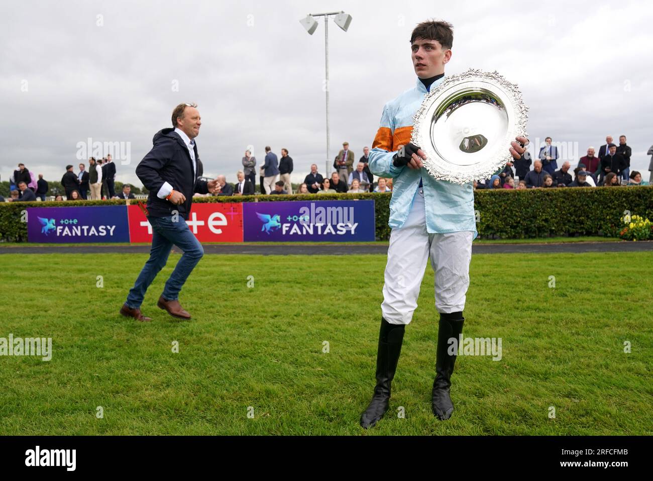 Ash tree meadow horse hi-res stock photography and images - Alamy